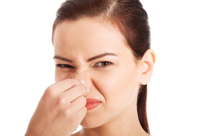 Burning Odor From AC Vents | Trust My Mechanic